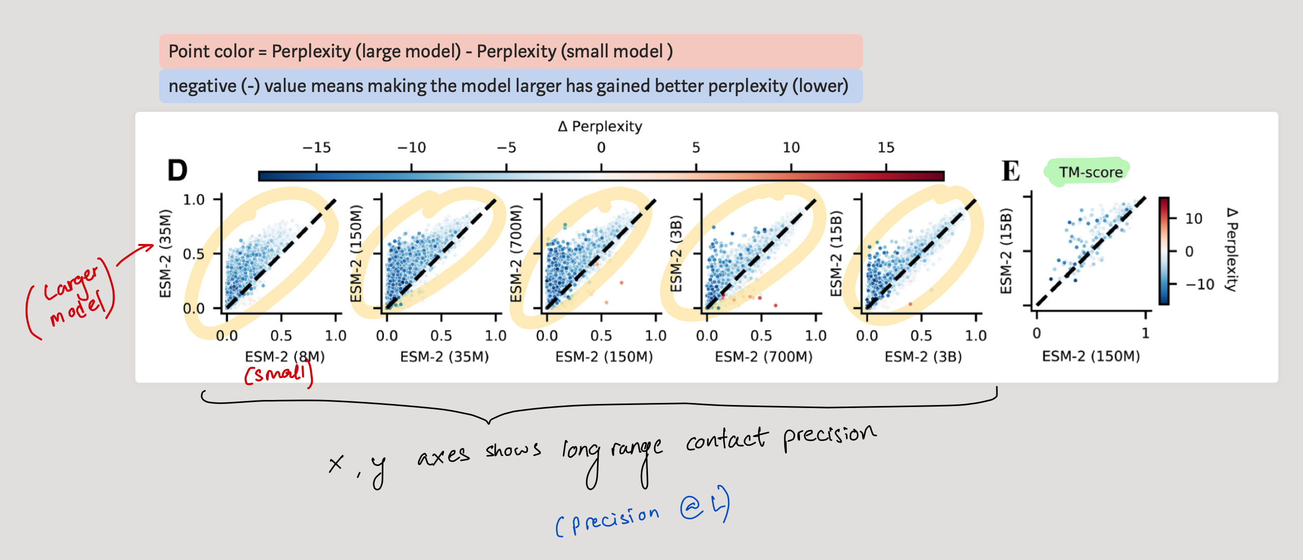 ESM-2 (evolutionary-scale prediction of atomic level protein structure ...