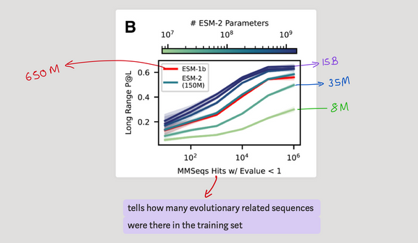 ESM-2 (evolutionary-scale prediction of atomic level protein structure with a language model)
